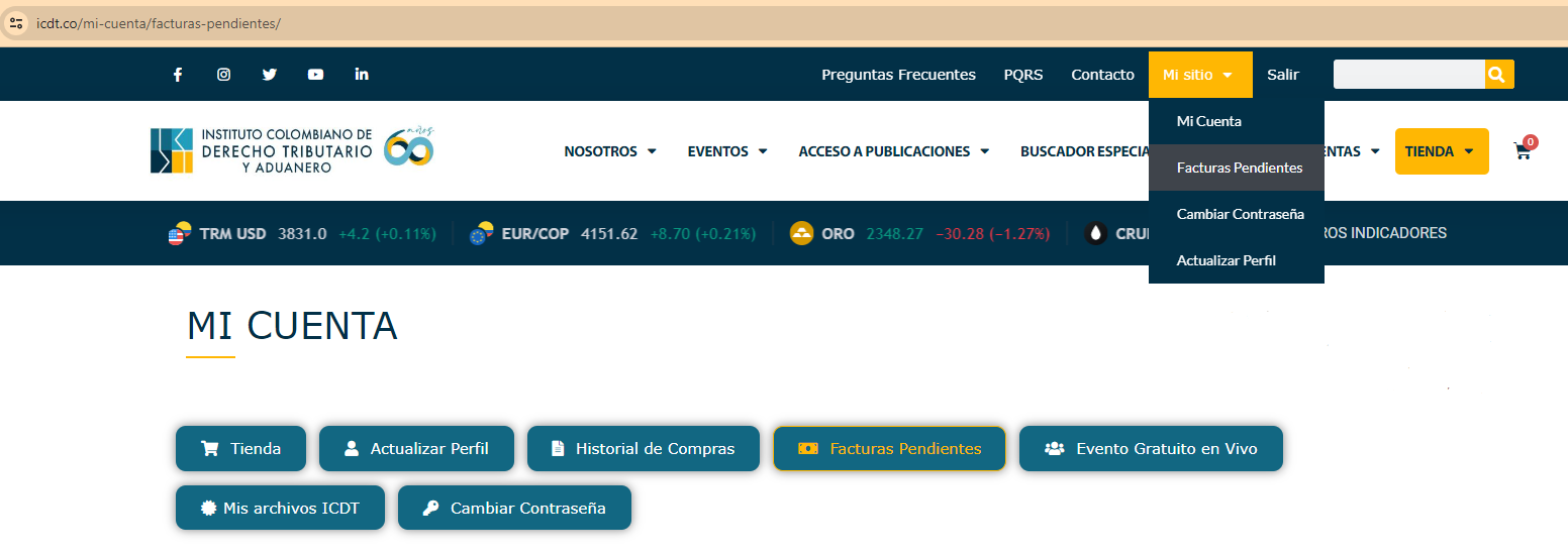 Pago Facturas - ICDT